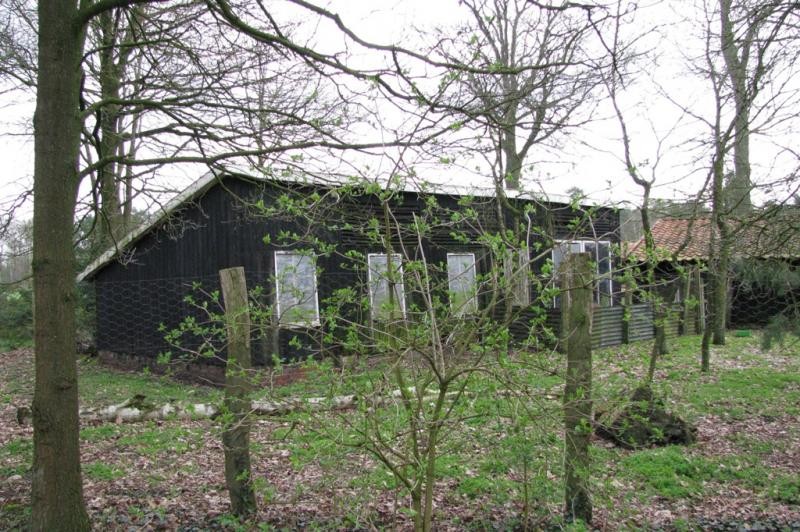 Fotoarchief - Heemkunde Lattrop Breklenkamp