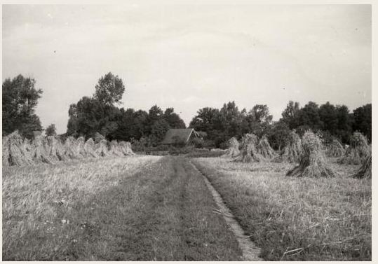 Fotoarchief - Heemkunde Lattrop Breklenkamp